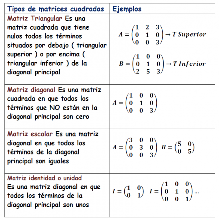 Tipos de Matrices - profesor10demates