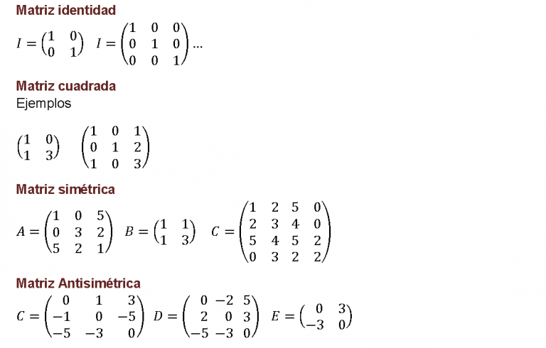 tipos de matrices - profesor10demates